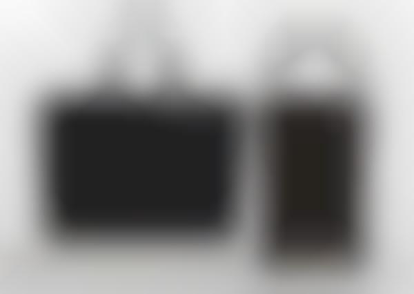 Gadget-Charging Totes : Leoht