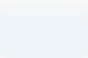 On-Demand Programming Services : Rabbits