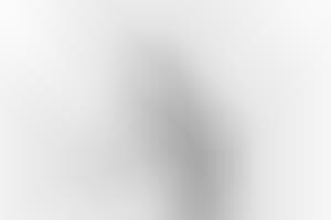 Shapeshifting Gamepads : Grifta