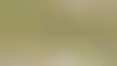 Interactive Garden Installations : interactive garden