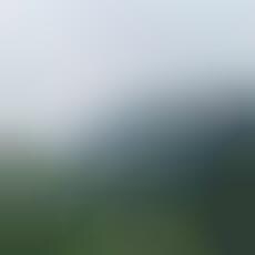 Alpine Skyscrapers : tallest skyscraper