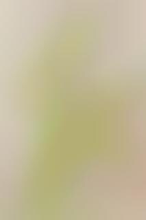 Booze-Concealing Tampons : Booze Tubes