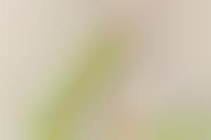 Booze-Concealing Tampons : Booze Tubes