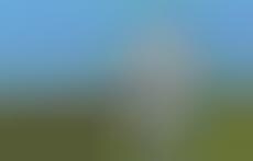 Tree Trunk Houses : Tree Trunk House