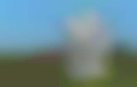 Tree Trunk Houses : Tree Trunk House