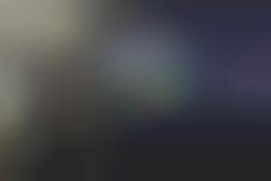 Search Engine Store Displays : Google Store