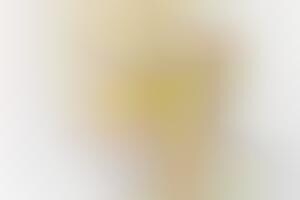 Quick-Serve Boiled Eggs : Yowk