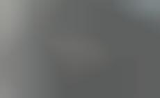 Dogged Touring Motorbikes : Honda Bulldog 500