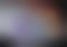 Adjustable Merchandising Trays : Merchandising Tray