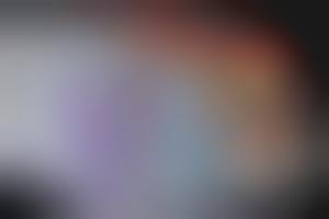 Adjustable Merchandising Trays : Merchandising Tray