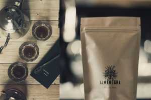 Cult Coffee Branding : Coffee Bar Branding