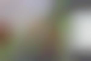 Biometric Democracy Apps : voting app