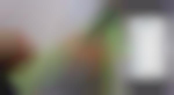 Biometric Democracy Apps : voting app