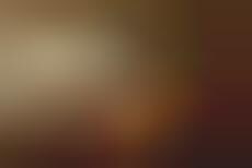 Iconic Department Store Cafes : Galleries Lafayette