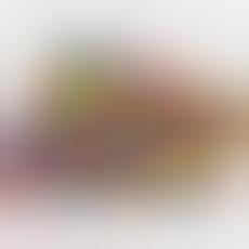 Jelly Bean Board Games : Bean Boozled