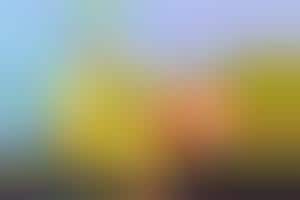 Emoji Protest Signs : Protest Signs