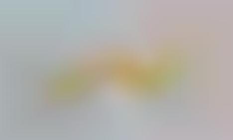 Illuminated Dinner Plates : Light Dish