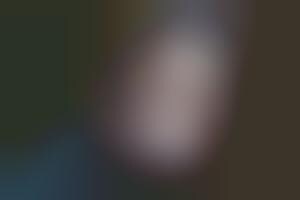 Virtual Memorial Apps : RIPCemetery