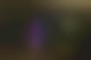 Multimedia Retail Displays : in-store video walls