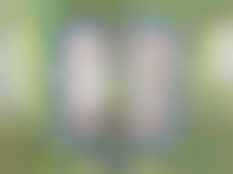 Luminous Retail Windows : Cosmetics Window Display