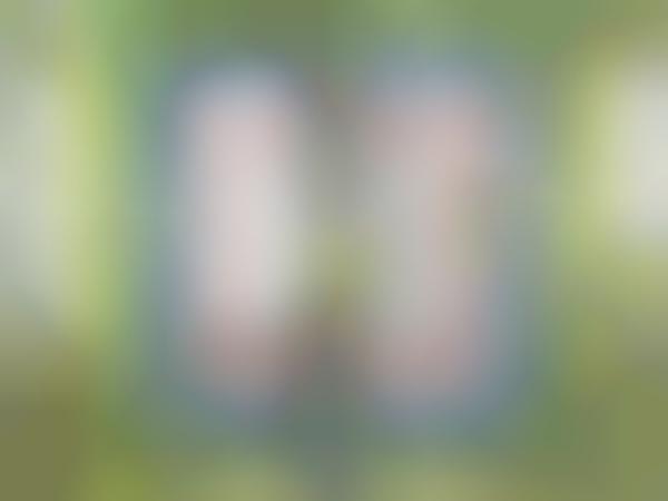 Luminous Retail Windows : Cosmetics Window Display