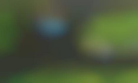 Sonic Well Monitors : Water Use Management