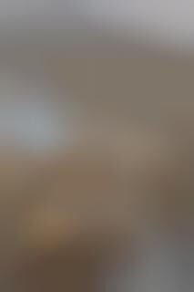 Roasted Sunroot Chips : Vegetable Snack