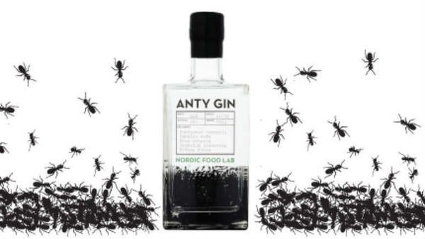 Insect-Infused Alcohol : English Gin