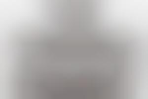 Animal Awareness Typefaces : the panda font