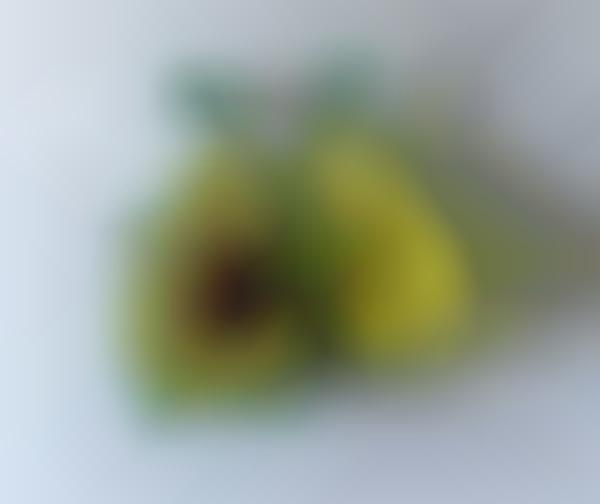 Affectionate Fruit Art : Avocado Love