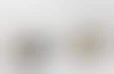 Condensed Packaging - Heightening portability, packaging designs adapt ...