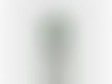 Absinthe-Infused Men's Cosmetics : Wormwood Absinthium Cream