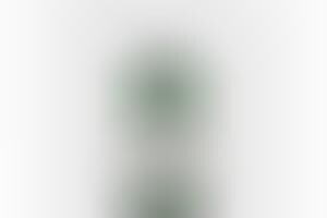 Absinthe-Infused Men's Cosmetics : Wormwood Absinthium Cream