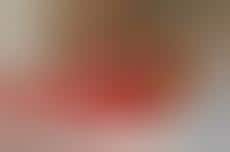 Rowboat-Inspired Beds: The 'Pleasurecraft'