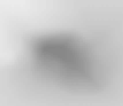 34 Modular Innovations