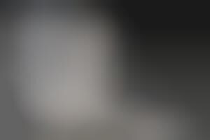 Tacky Toilets: Blinged-Out Bathrooms