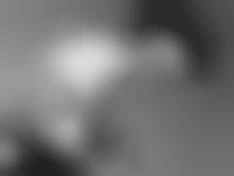 Raw Rocker Portraits : Eyal Booker