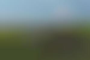 Collapsible Communal Tables : Communal Table