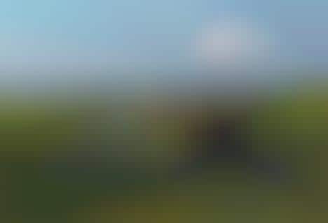 Collapsible Communal Tables : Communal Table