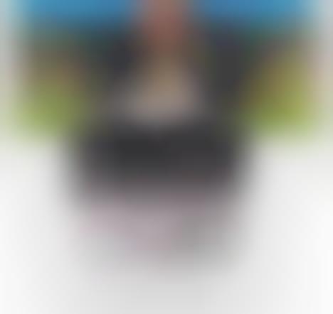 Multi-Beer Carriers : Beer Carrier