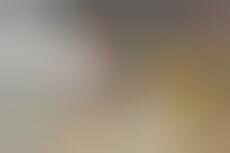 Nature-Inspired Pop-Up Fixtures : British Designers Collective