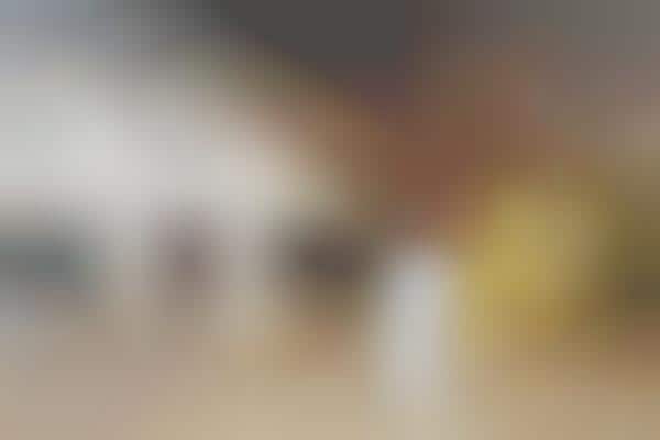 Nature-Inspired Pop-Up Fixtures : British Designers Collective