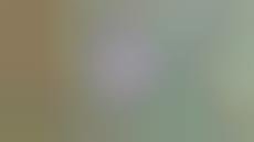 Music-Making Kids Apps : Loopimal