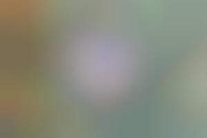 Music-Making Kids Apps : Loopimal