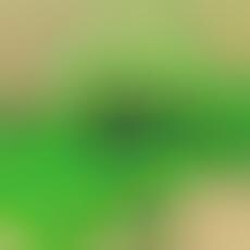 Solar-Powered Backpacks : Eco-Friendly Charging