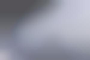 WiFi-Providing Palm Trees : Smart Palm