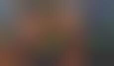 Wearable Audio Recorders : recording device