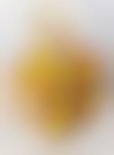 Eco Orange Packaging : Orange Packaging