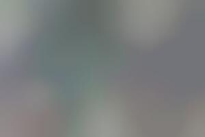 Elaborate Makeup Art : Jordan Hanz