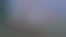 Single-Wheel Electric Scooters : Moto Pogo